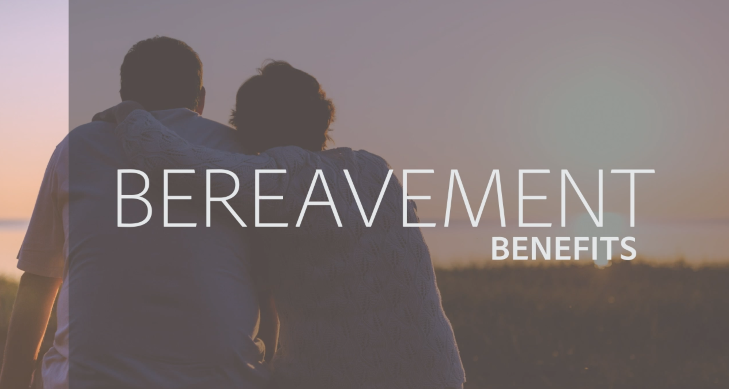 Video gallery | Adobe Benefits